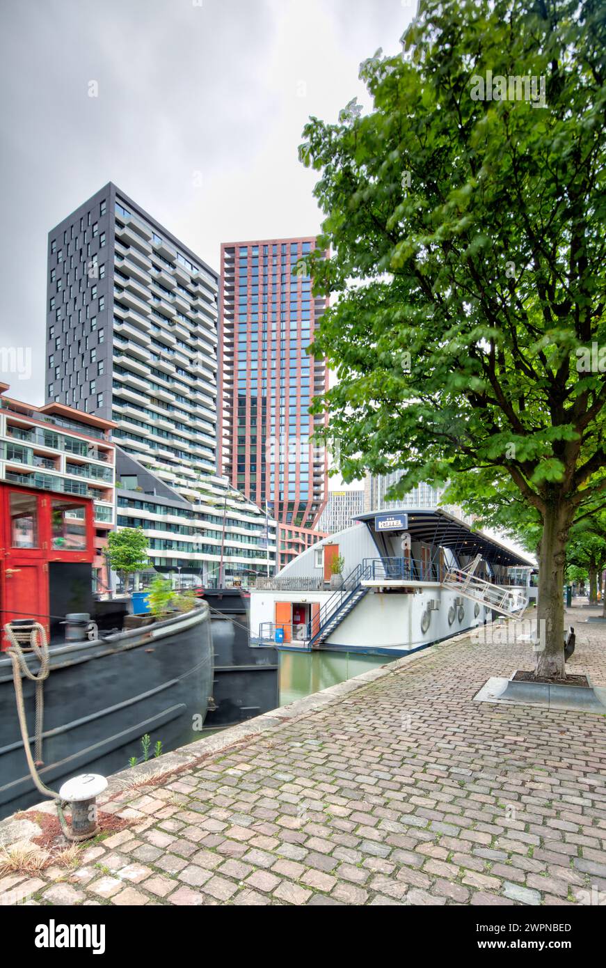 Wijnhaven, canal, skyscrapers, house facade, house view, architecture ...