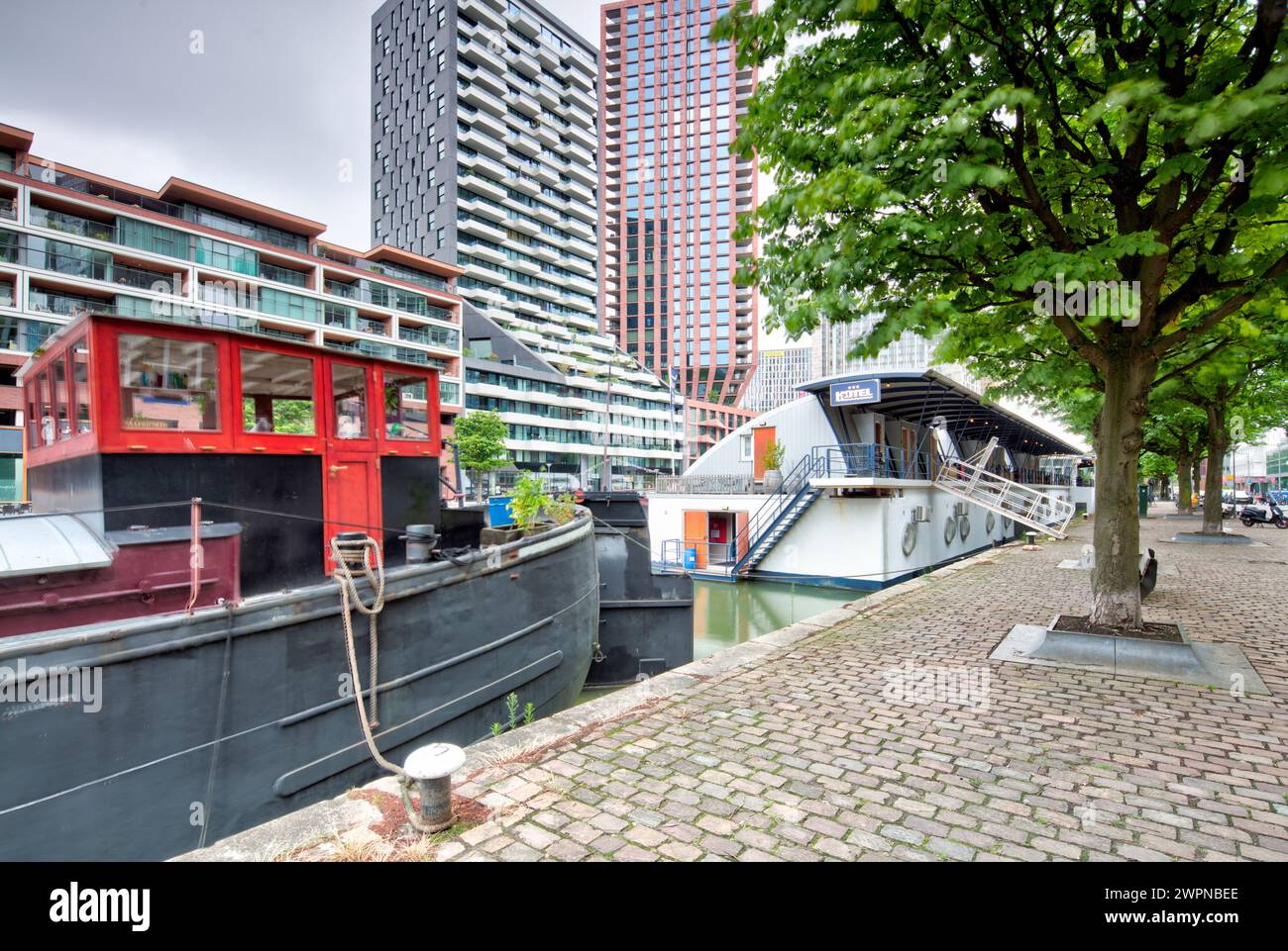 Wijnhaven district, boats, ships, canal, architecture, city view ...