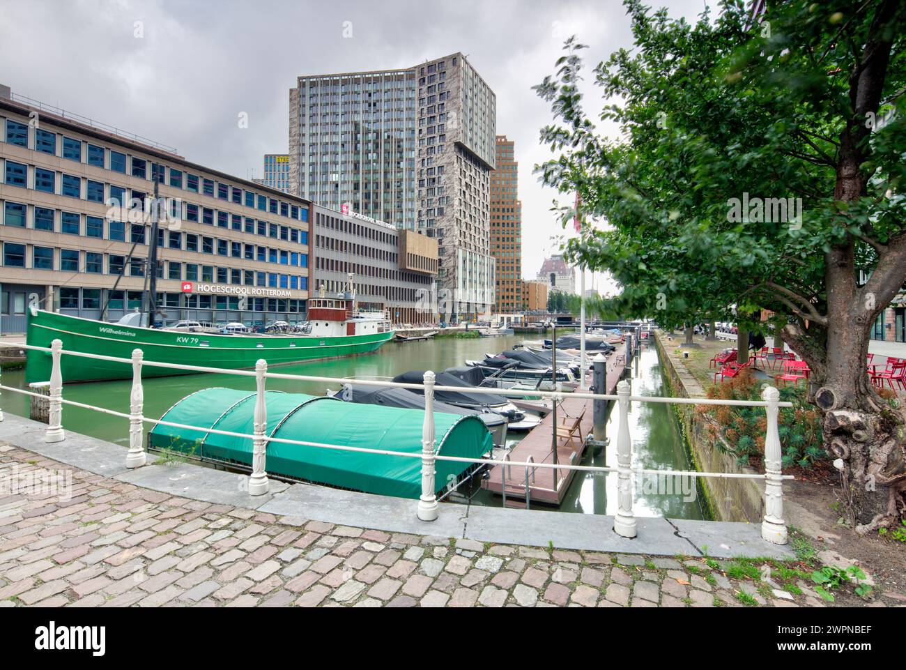 Wijnhaven district, modern urban architecture, high-rise building ...