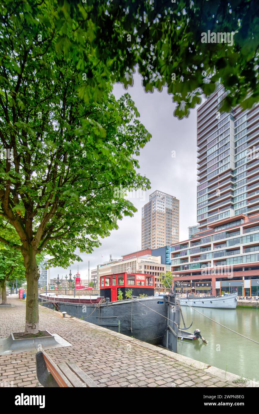 Wijnhaven district, boats, ships, canal, architecture, city view ...