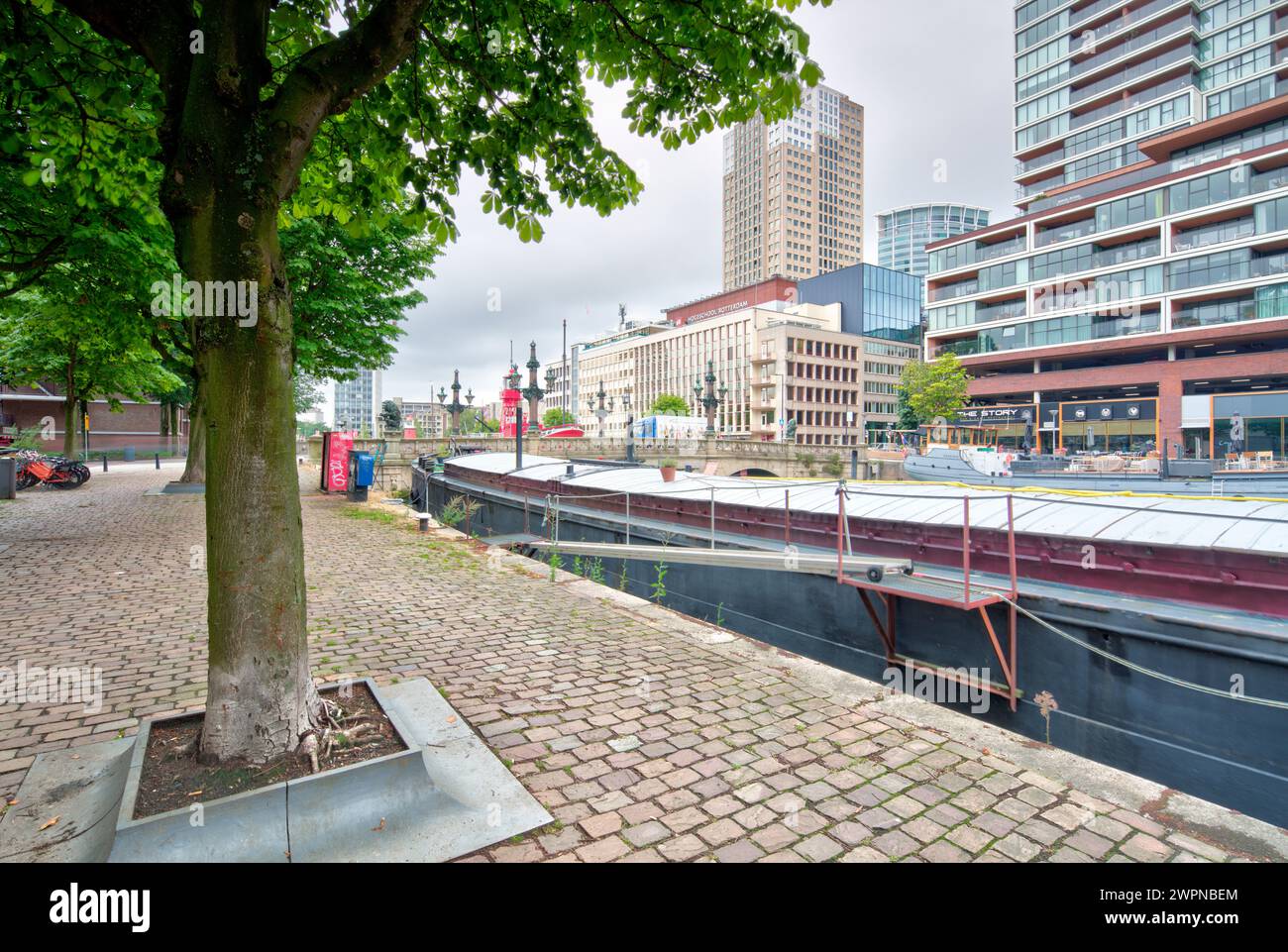 Wijnhaven district, modern urban architecture, high-rise building ...