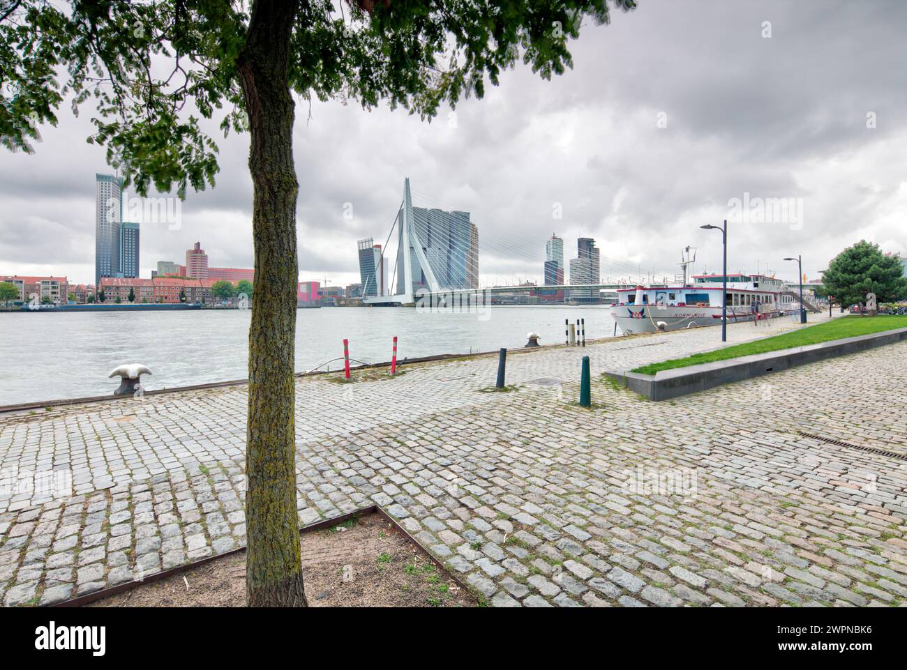 Boompjeskade, Erasmus Bridge, cable-stayed bridge, Nieuwe Maas, Rhine ...