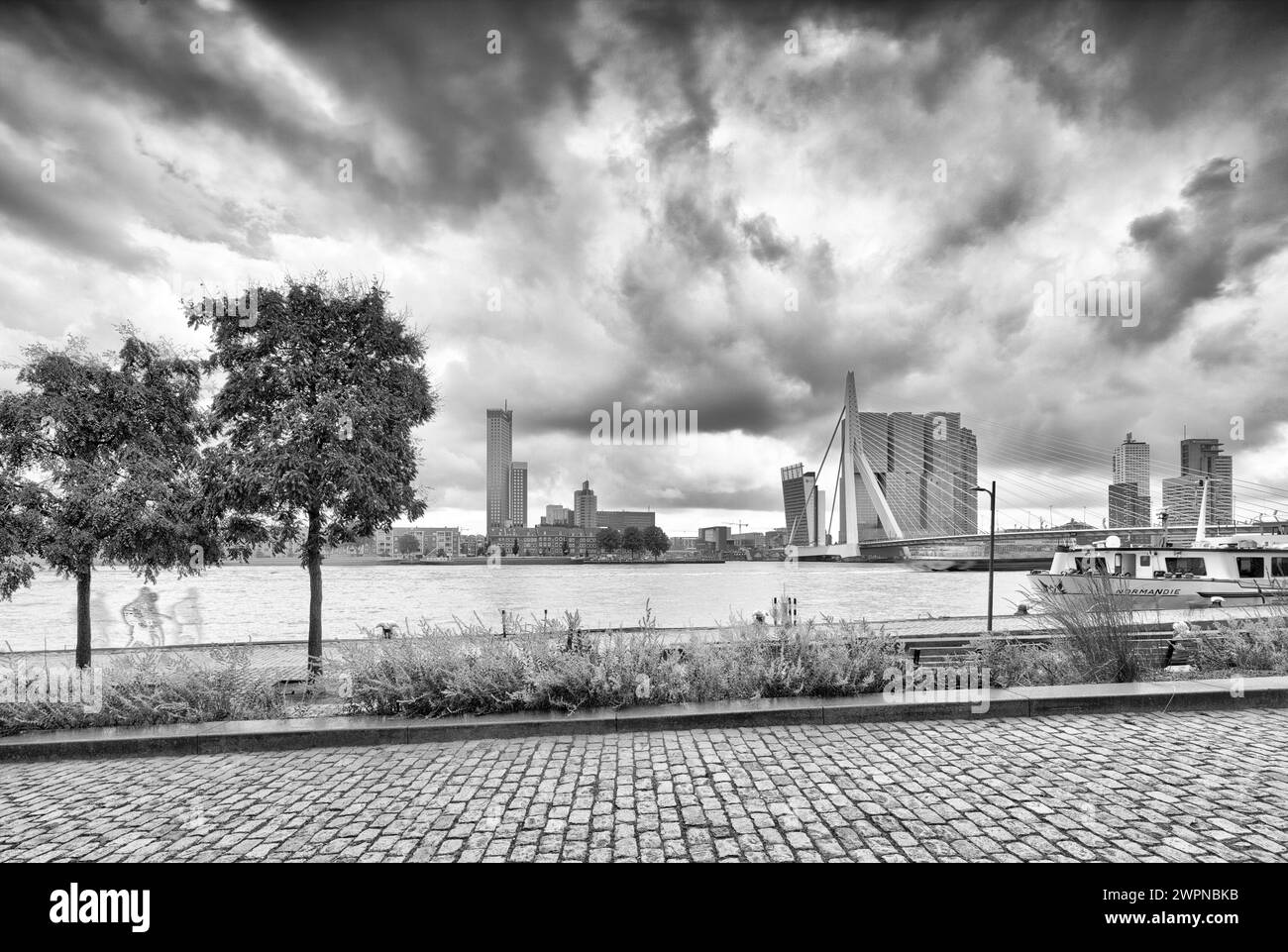 Boompjeskade, Erasmus Bridge, cable-stayed bridge, Nieuwe Maas, Rhine ...