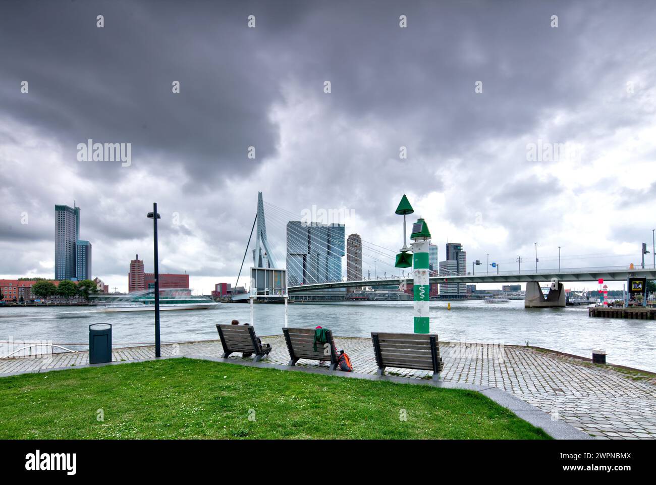Boompjeskade, Erasmus Bridge, cable-stayed bridge, Nieuwe Maas, Rhine ...