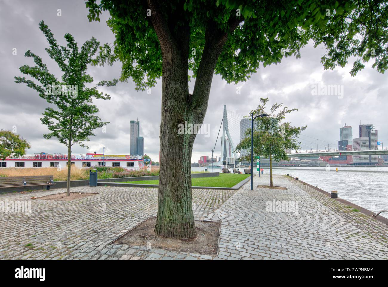 Boompjeskade, Erasmus Bridge, cable-stayed bridge, Nieuwe Maas, Rhine ...