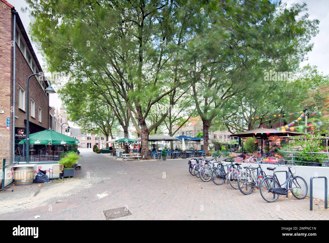 Doelenplein, square, green area, gastronomy, house facade, house view ...