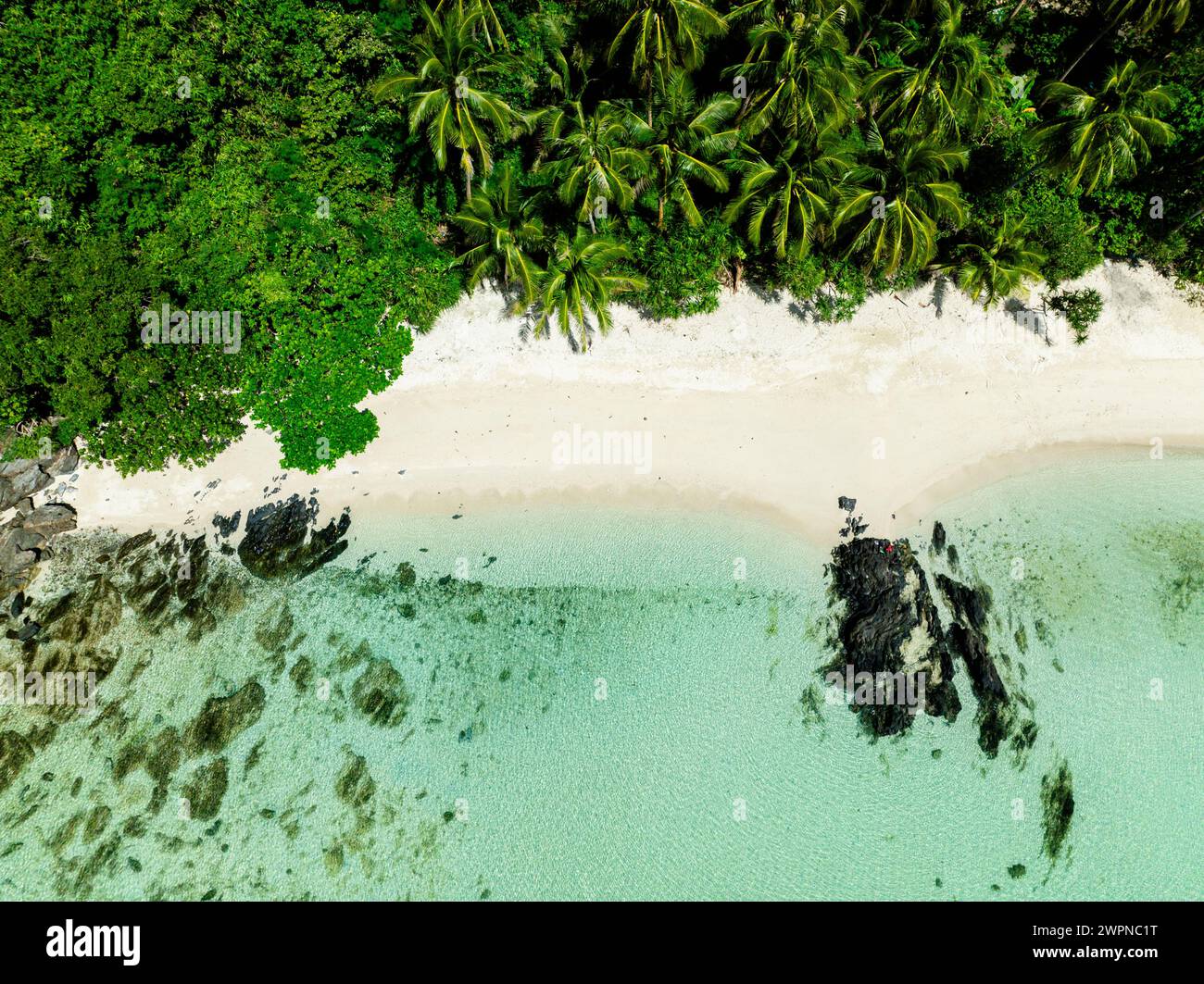 Top view of white sand beach with palm trees and clear water. Tiamban ...