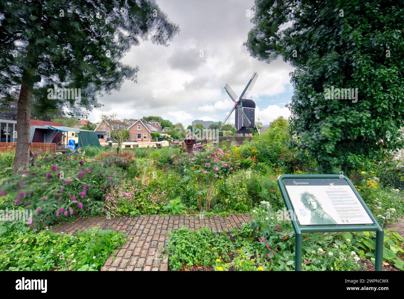 Rembrandt birthplace, monument, memory, architecture, view, Leiden ...