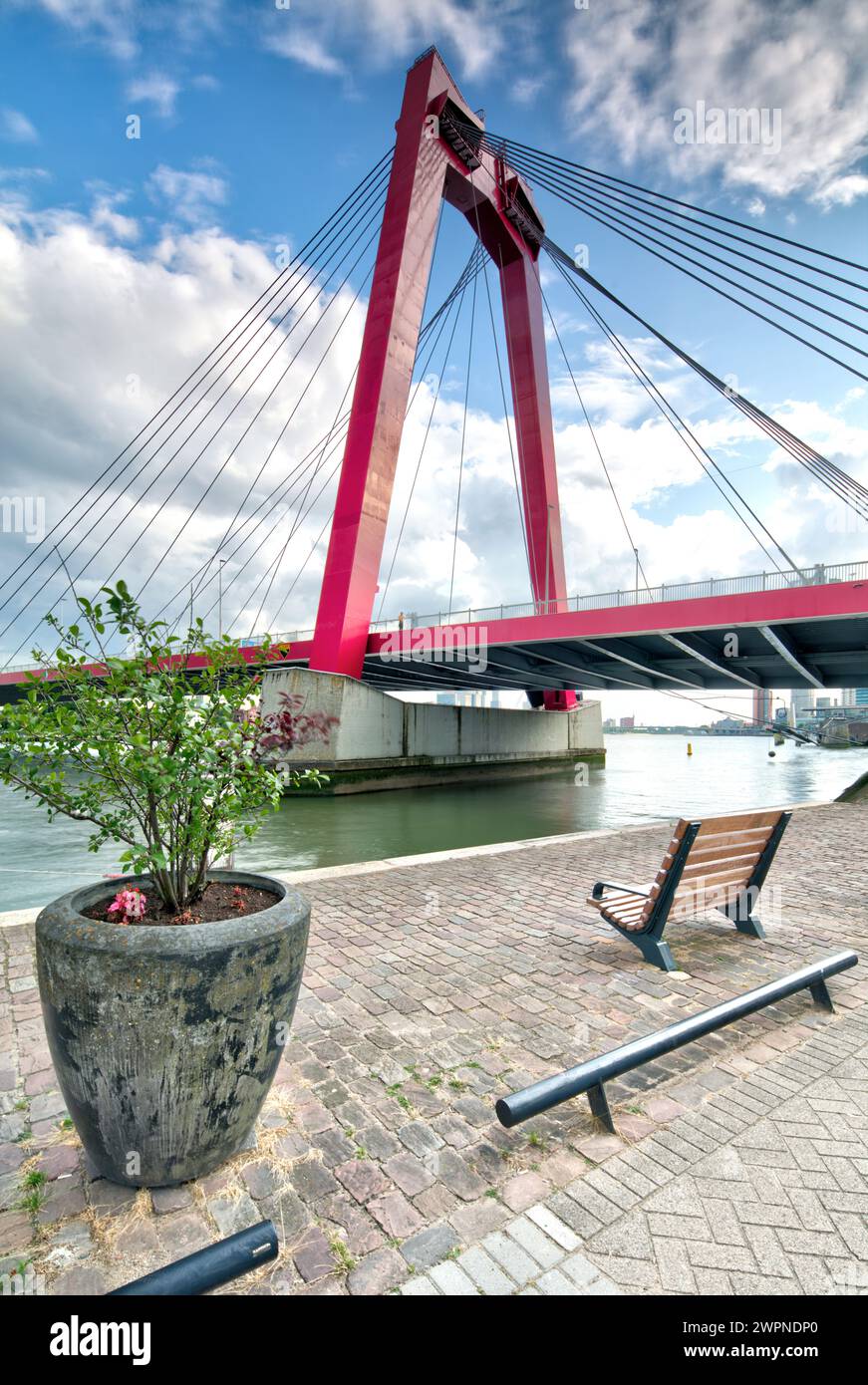 Willemsbrug, Willems Bridge, Nieuwe Maas, cable-stayed bridge, city ...