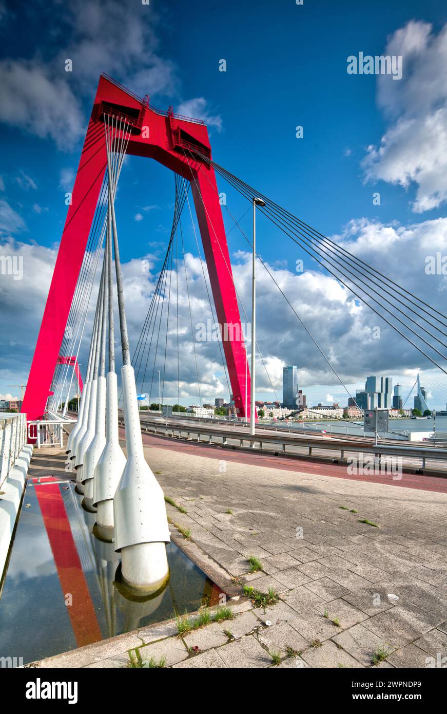 Willemsbrug, Willems Bridge, Nieuwe Maas, cable-stayed bridge, city ...