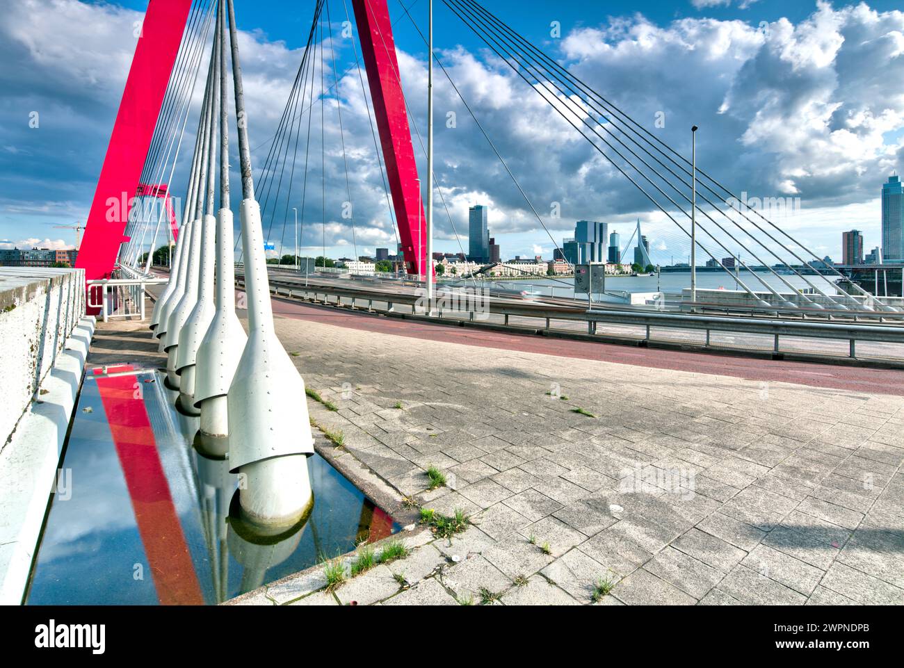 Willemsbrug, Willems Bridge, Nieuwe Maas, cable-stayed bridge, city ...