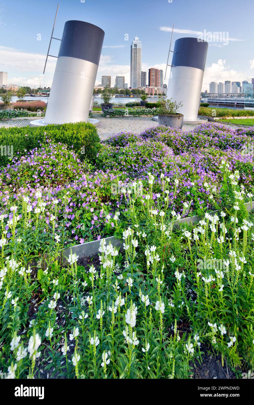 Holland-America Akade, Nieuwe Maas, skyscrapers, building facade, landmark, architecture, city ...
