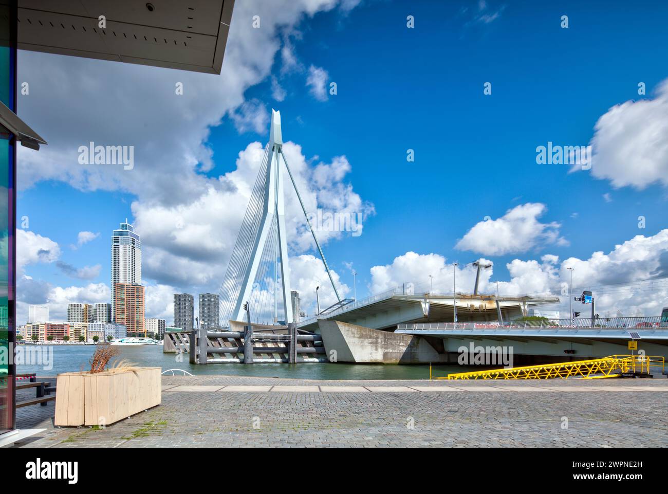 Erasmus Bridge, cable-stayed bridge, Nieuwe Maas, Rhine-Meuse delta ...