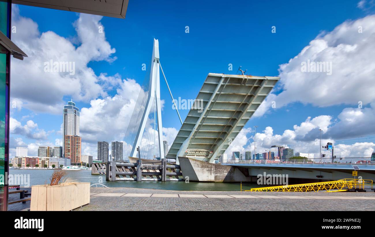 Erasmus Bridge, cable-stayed bridge, Nieuwe Maas, Rhine-Meuse delta ...