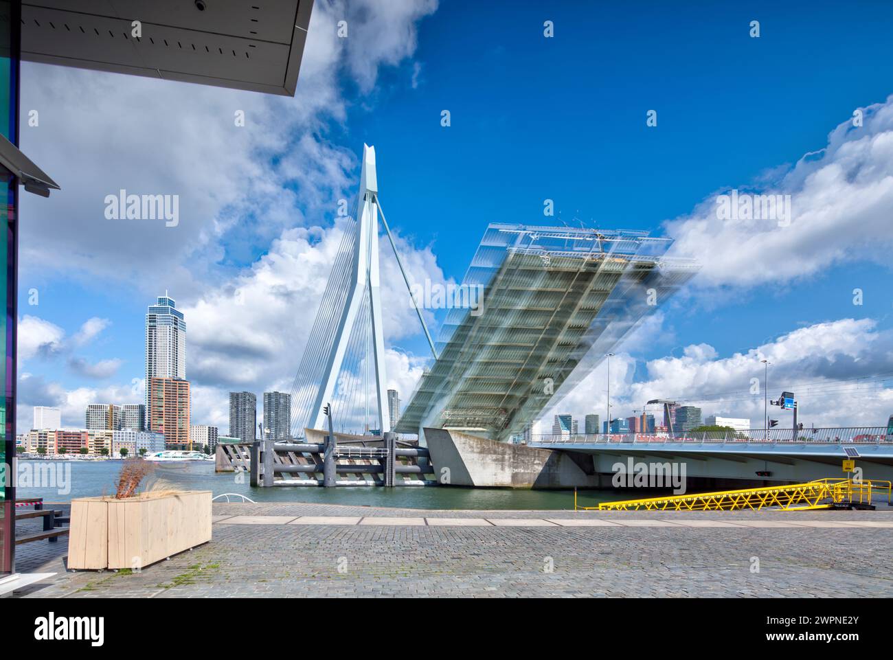 Erasmus Bridge, cable-stayed bridge, Nieuwe Maas, Rhine-Meuse delta ...