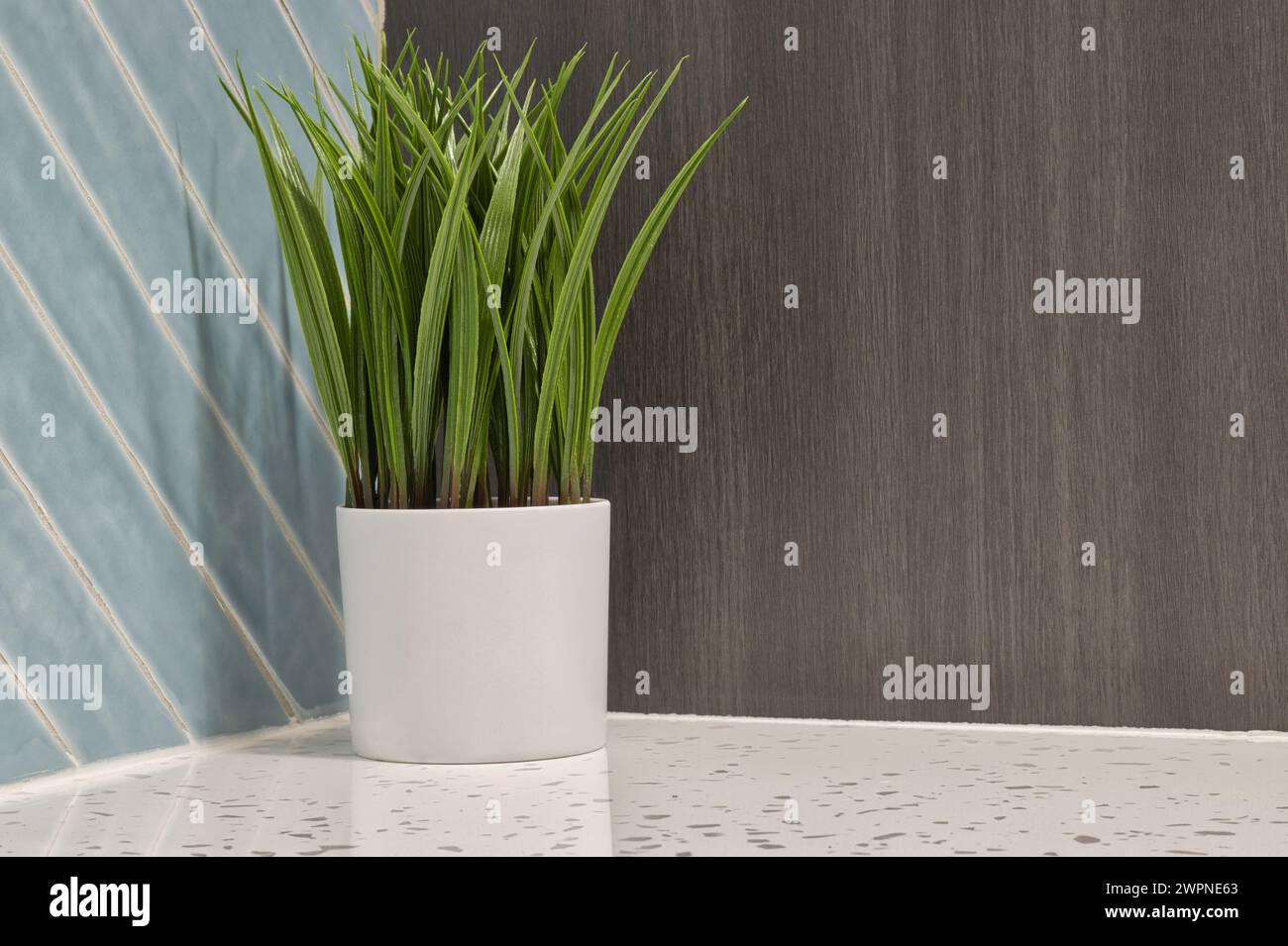 Still life artificial plant in a corner alcove of three different ...