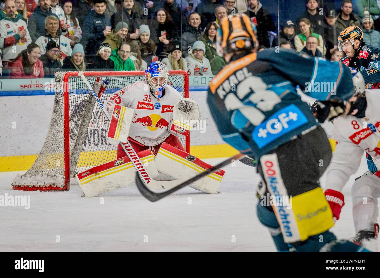 EC Red Bull Salzburg vs Steinbach Black Wings Linz Stock Photo - Alamy