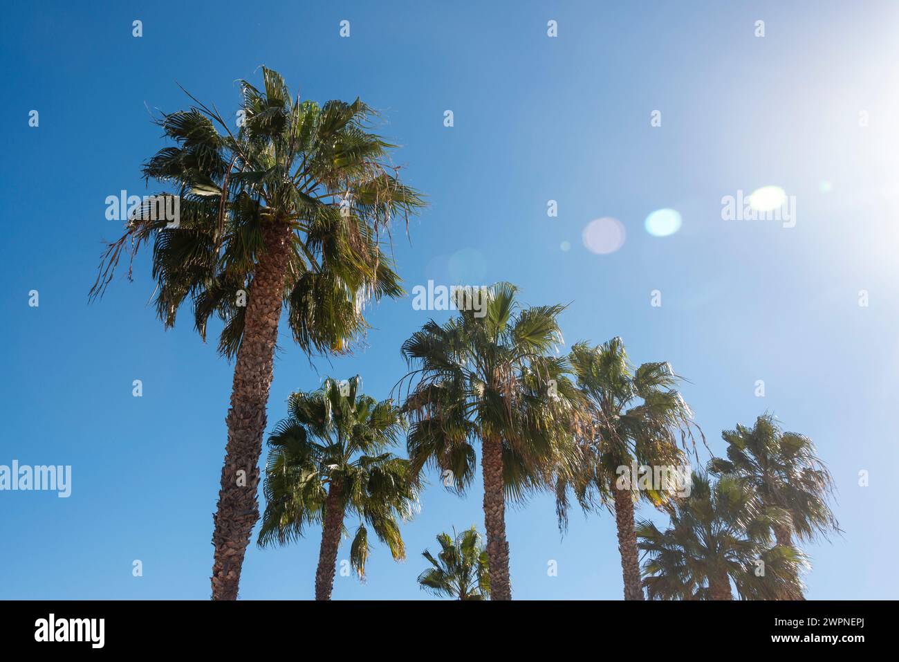 Lens flare texture hi-res stock photography and images - Alamy