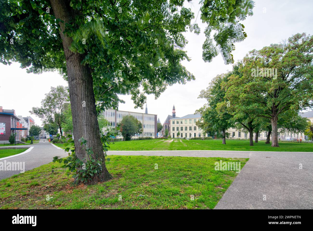 Patershol, house facade, architecture, green area, district, view ...
