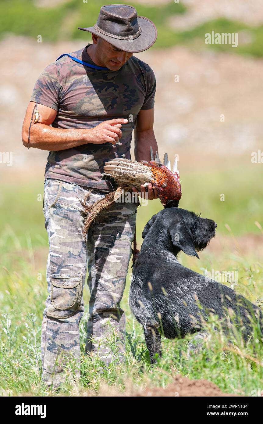 A dog that brings a bird shot by a hunter back to its owner. (Common ...