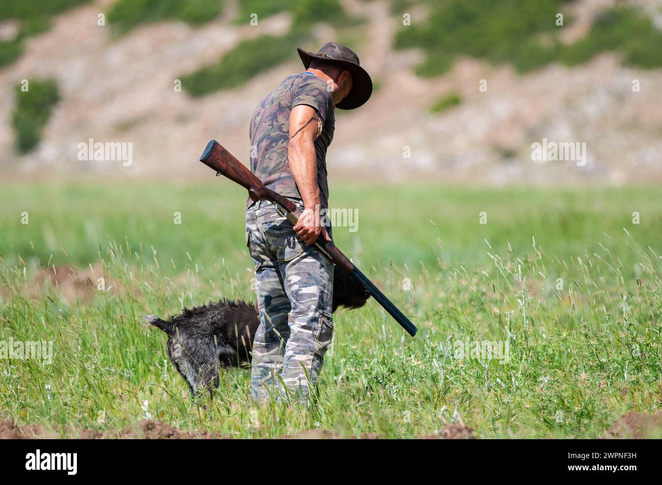 Stalks its prey hi-res stock photography and images - Alamy