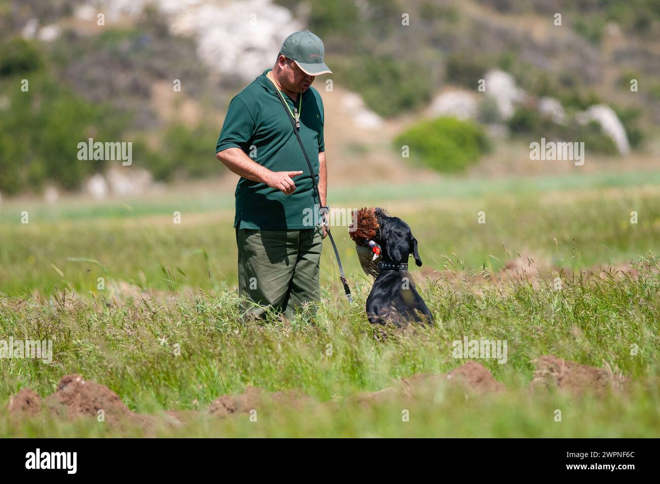 A dog that brings a bird shot by a hunter back to its owner. (Common ...