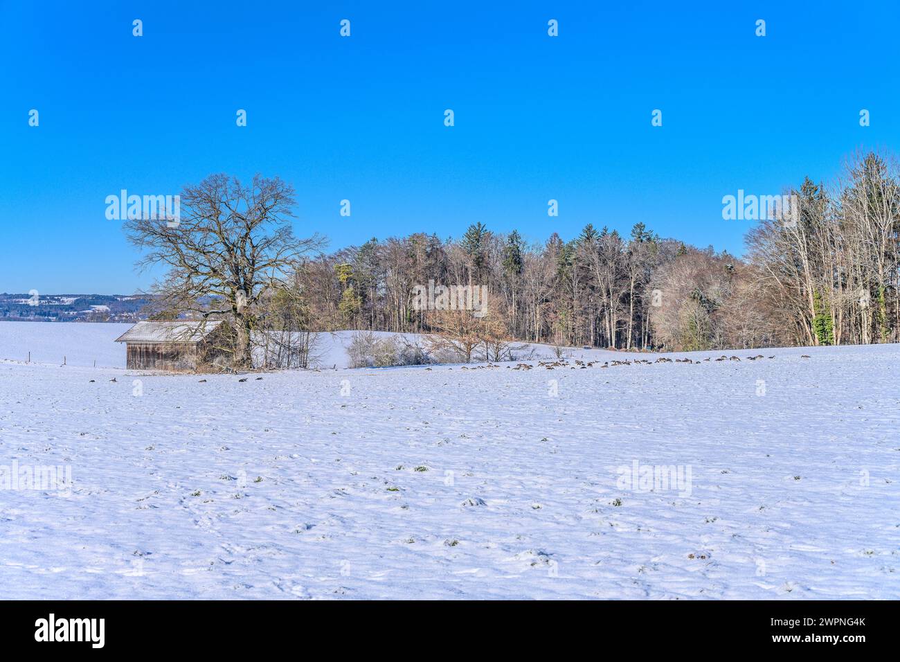 Local recreation area ambach hi-res stock photography and images - Alamy