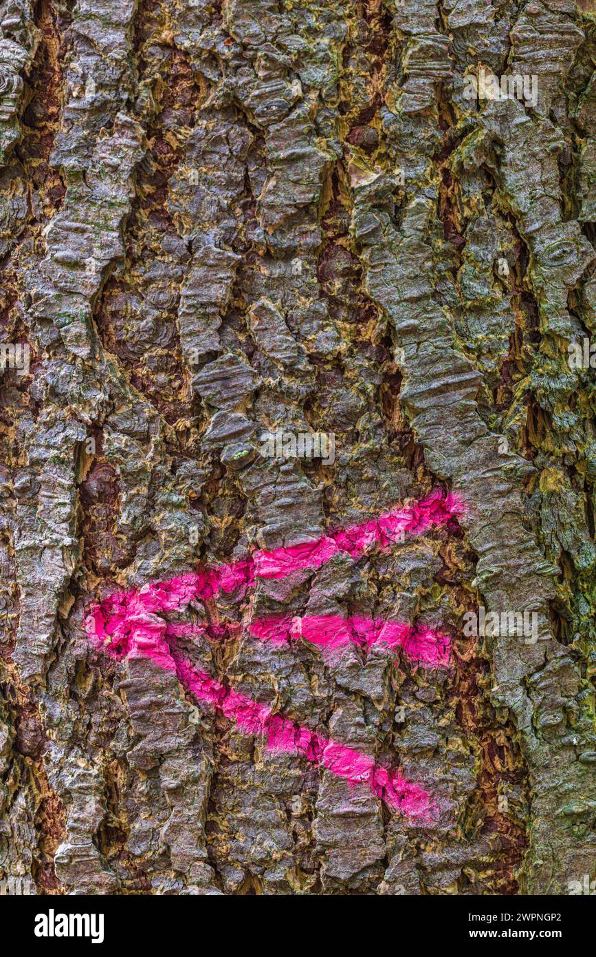 Tree trunk, marker, signpost Stock Photo - Alamy