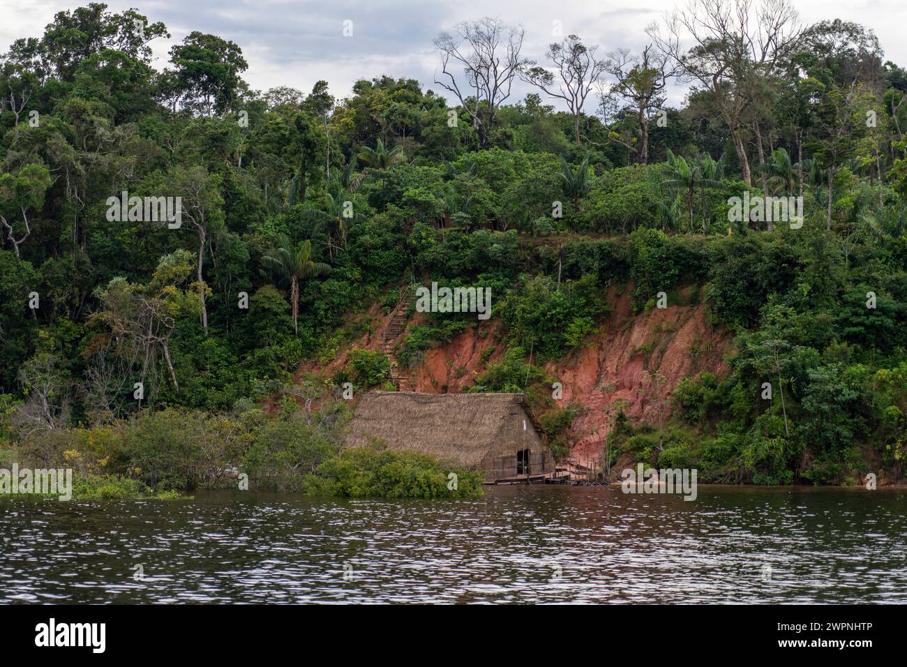 Brazilian rainforest, cruising the Amazon on a boutique ship (MS ...