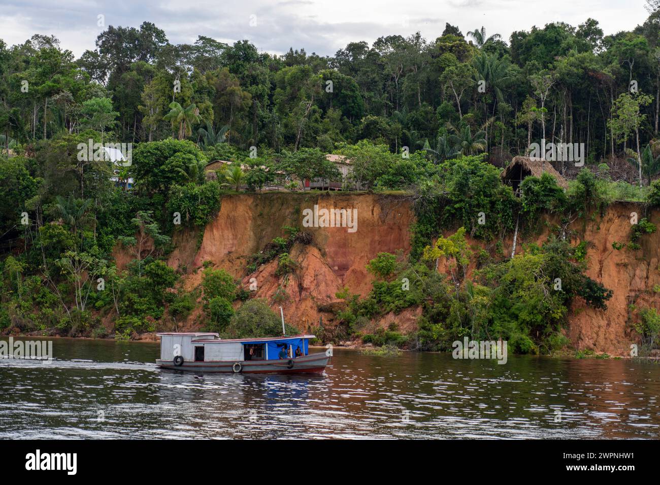 Brazilian rainforest, cruising the Amazon on a boutique ship (MS ...