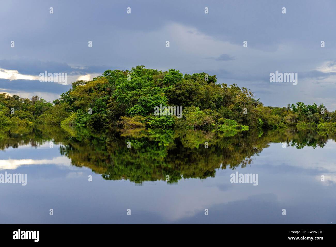 Brazilian rainforest, cruising the Amazon on a boutique ship (MS ...