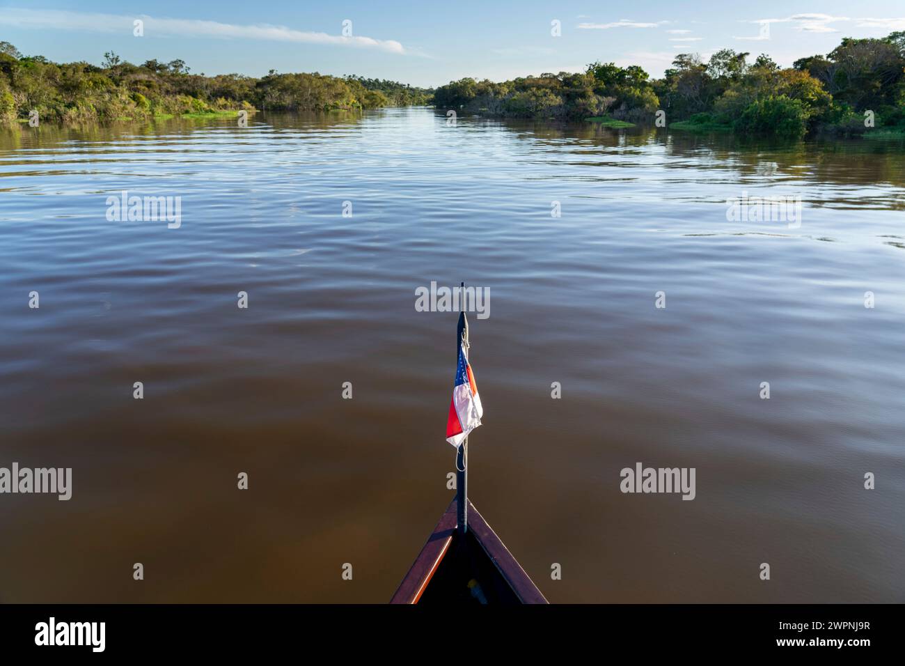 Brazilian rainforest, cruising the Amazon on a boutique ship (MS ...