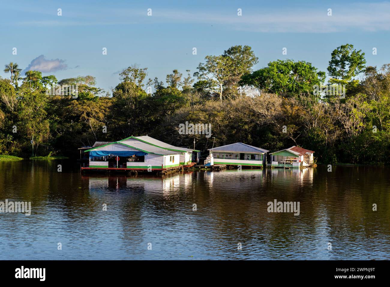 Brazilian rainforest, cruising the Amazon on a boutique ship (MS ...