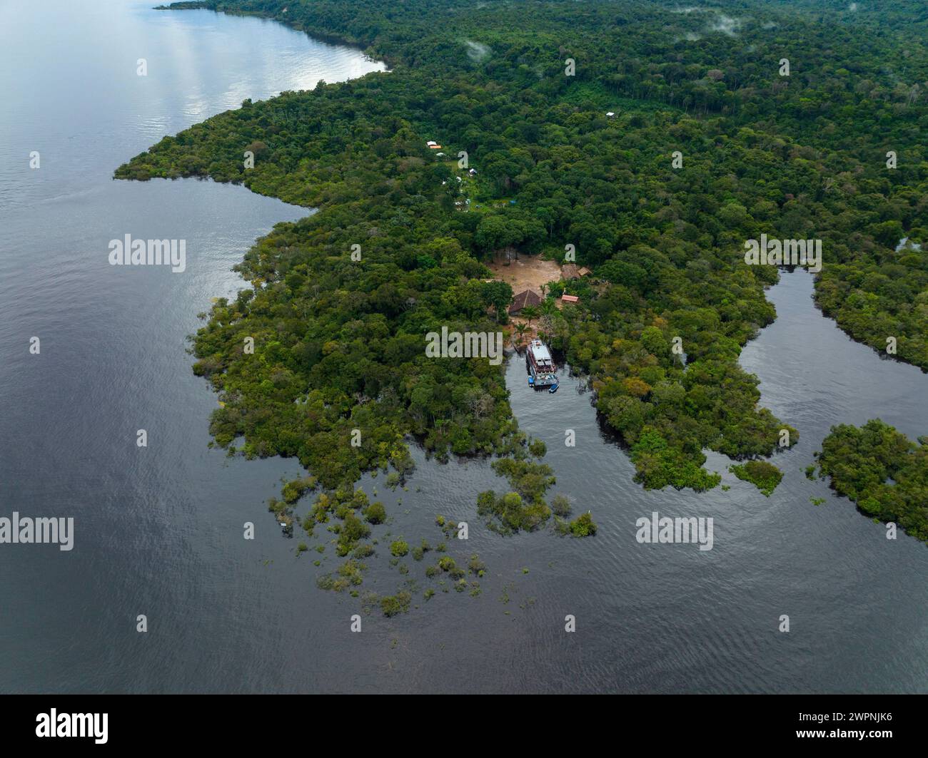 Brazilian rainforest, cruising the Amazon on a boutique ship (MS ...