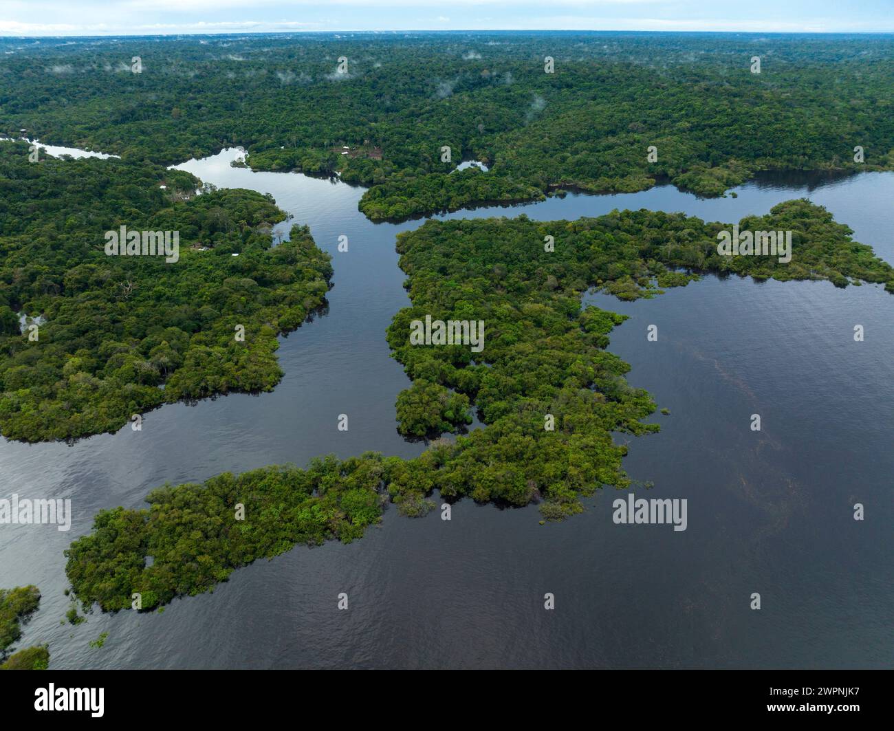 Brazilian rainforest, cruising the Amazon on a boutique ship (MS ...