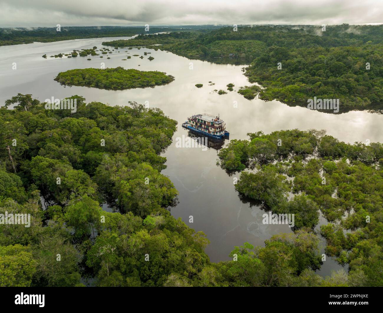 Brazilian rainforest, Amazon River, Brazil Stock Photo - Alamy