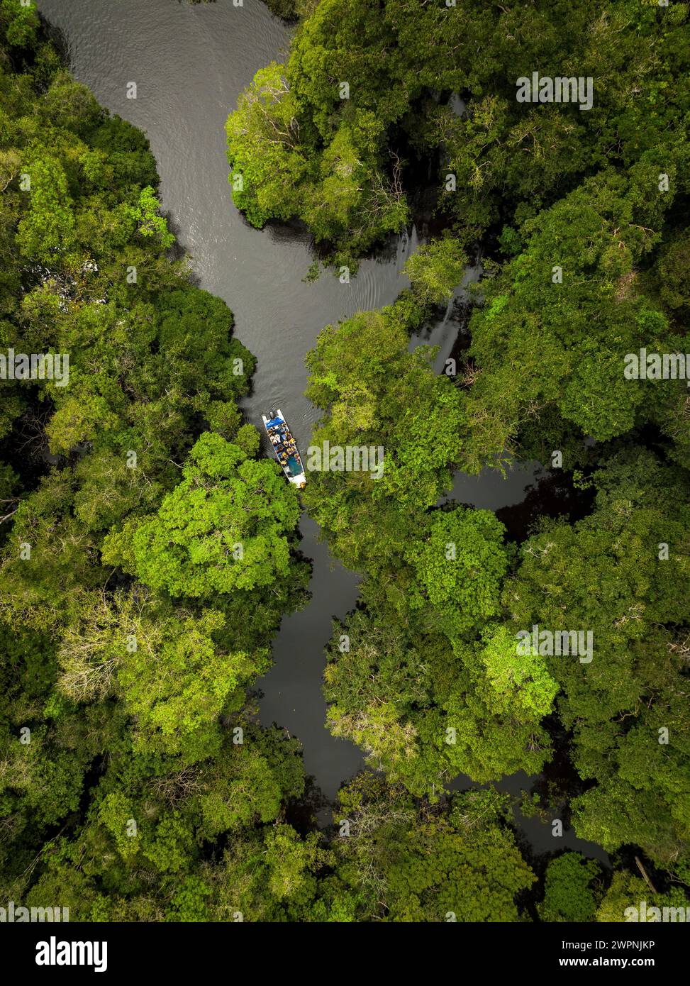 Amazon river brazil hi-res stock photography and images - Alamy