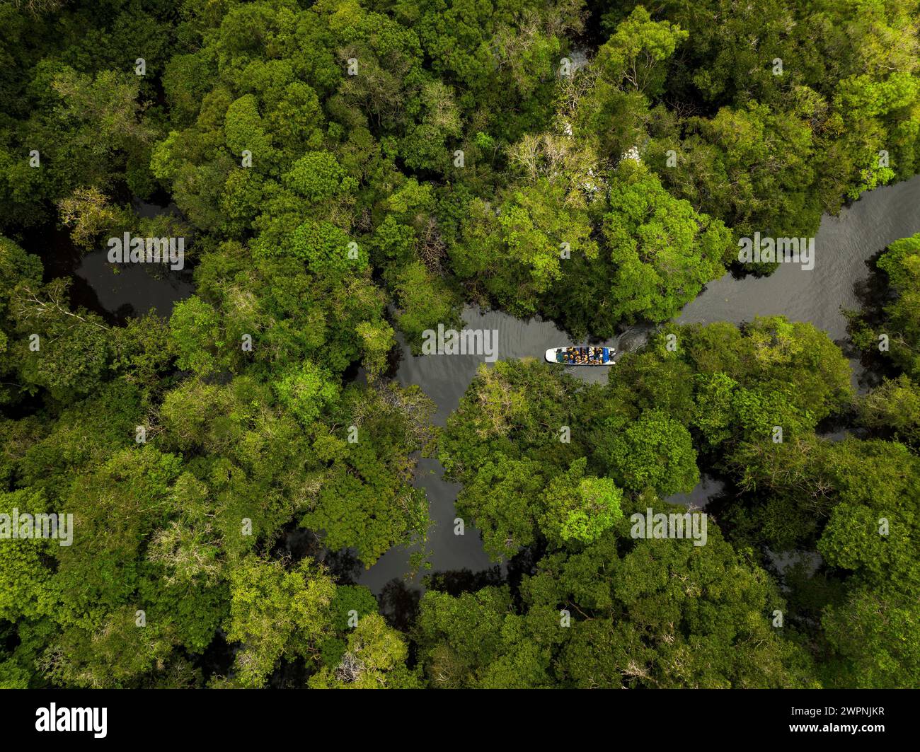 Amazon rainforest brazil aerial shot hi-res stock photography and ...