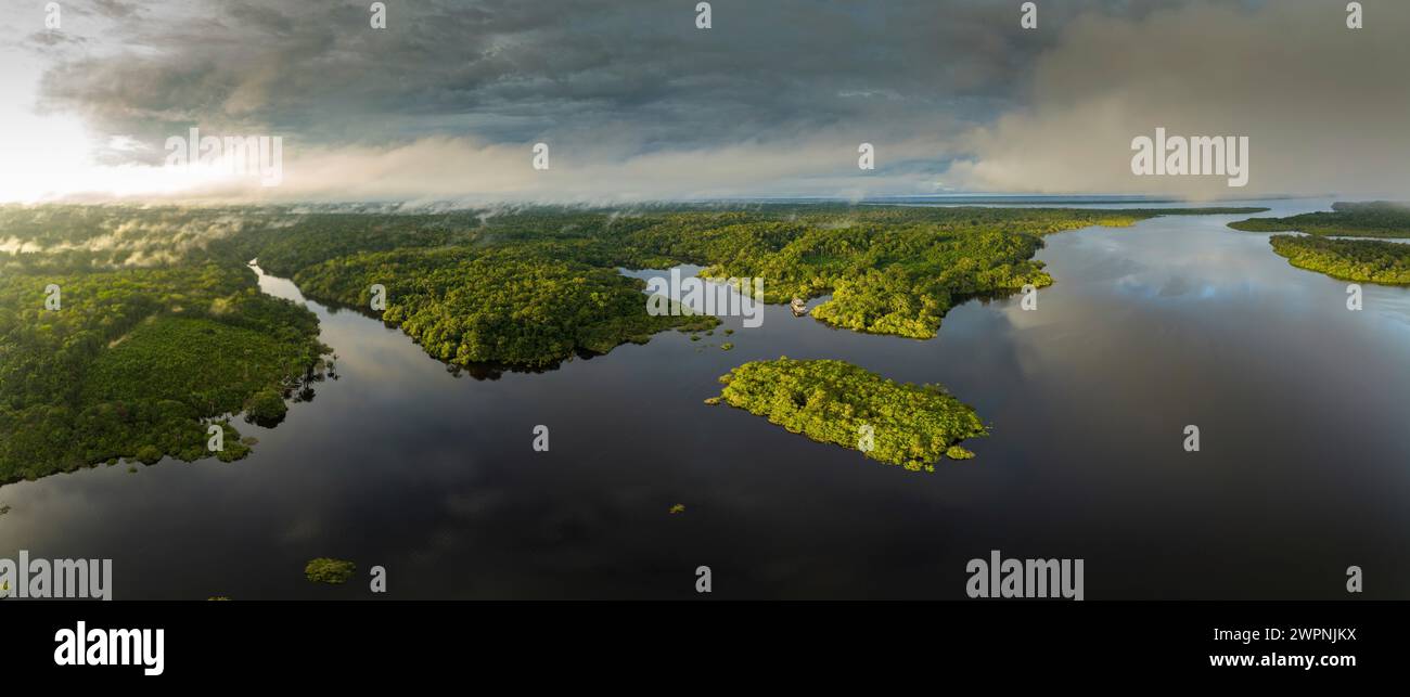 Brazilian rainforest, Amazon River, Brazil Stock Photo - Alamy
