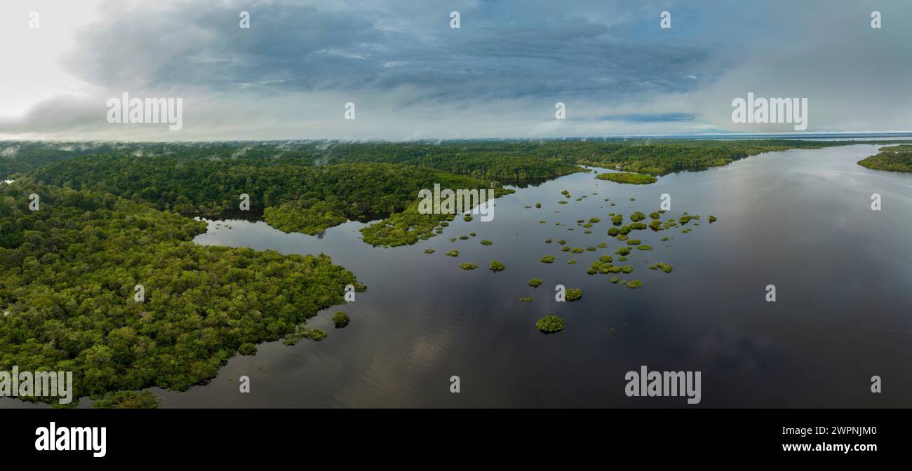 Amazon rainforest brazil river hi-res stock photography and images - Alamy