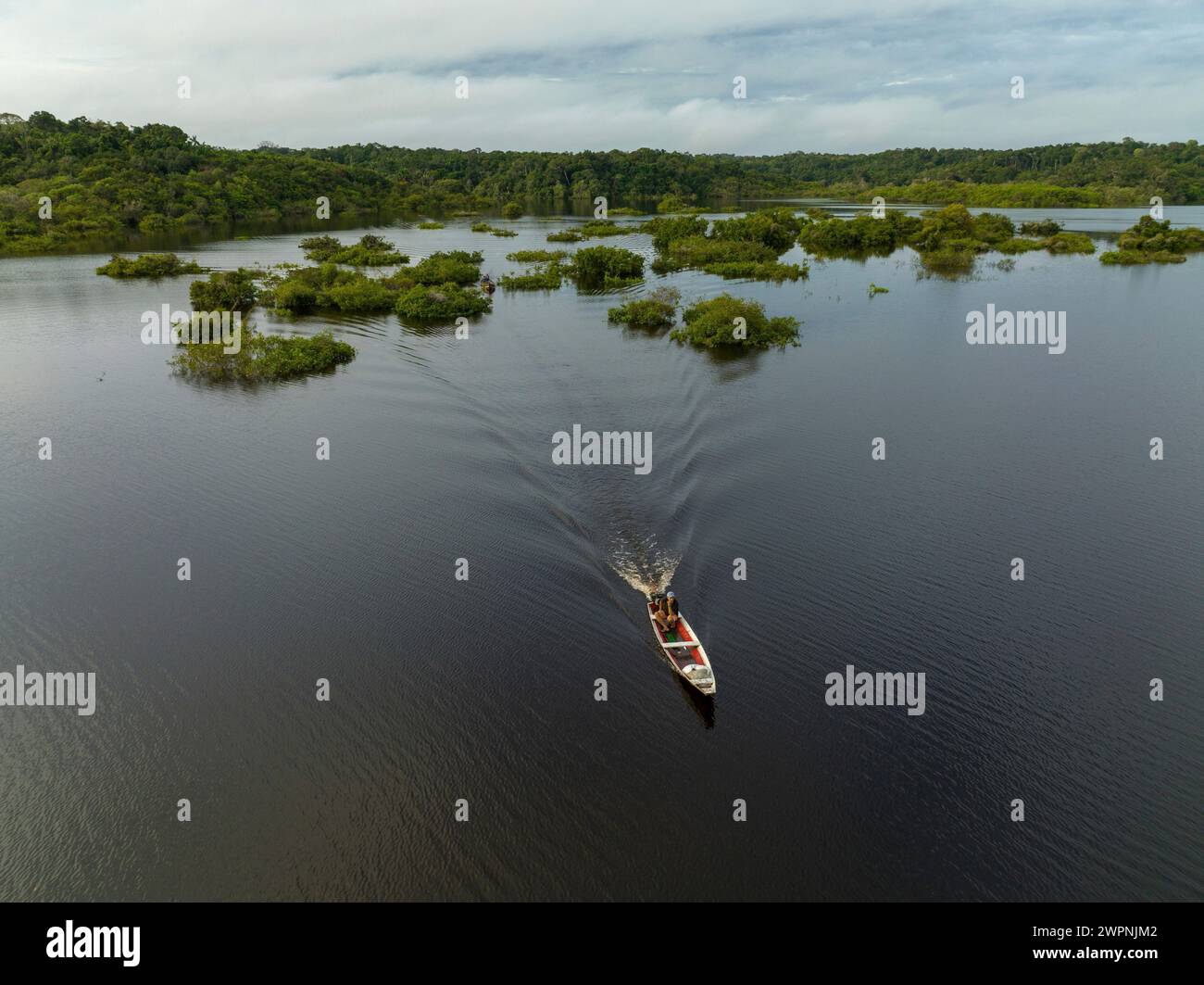 Brazilian rainforest, Amazon River, Brazil Stock Photo - Alamy