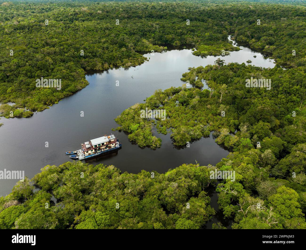 Amazon in the Brazilian rainforest with small boutique ship Stock Photo ...