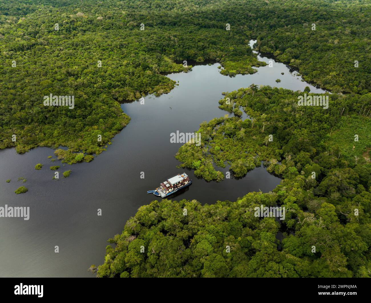 Amazon in the Brazilian rainforest with small boutique ship Stock Photo ...
