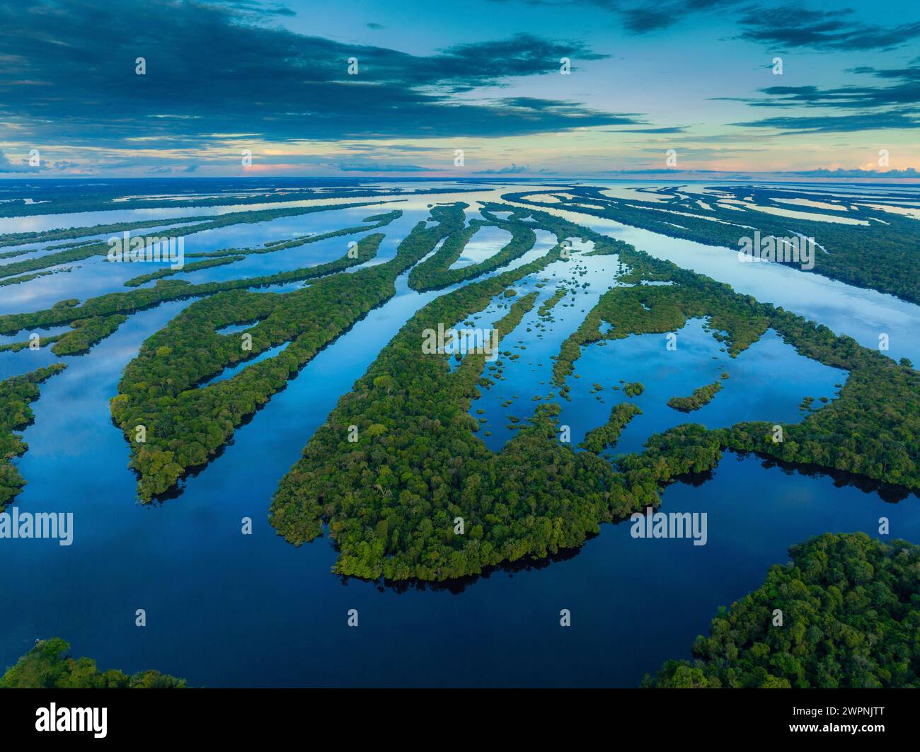 Amazon in the Brazilian rainforest with small boutique ship Stock Photo ...