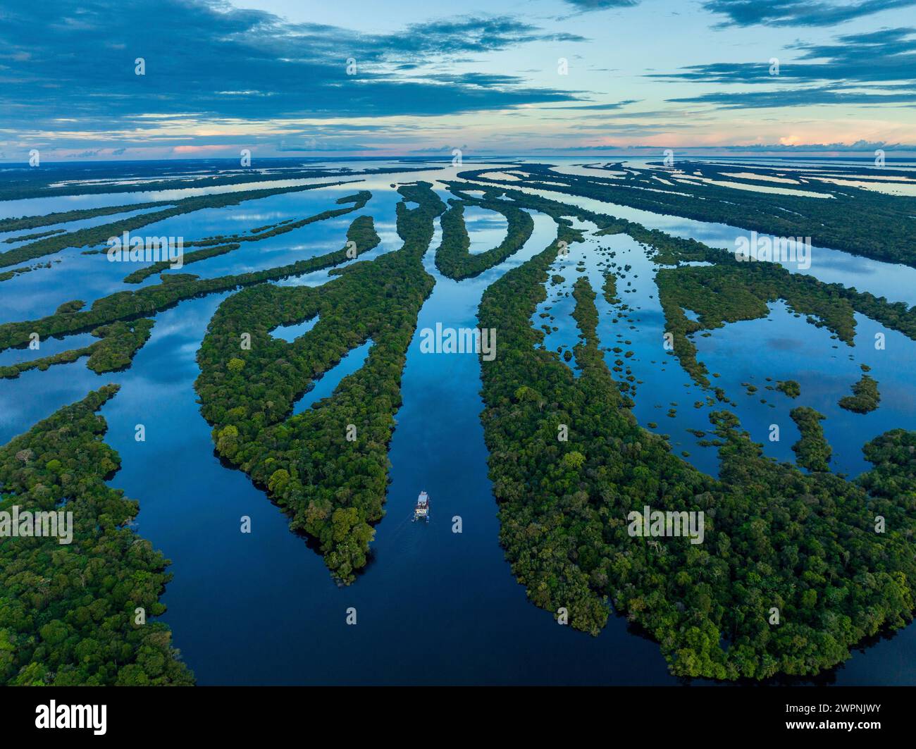 Amazon in the Brazilian rainforest with small boutique ship Stock Photo ...
