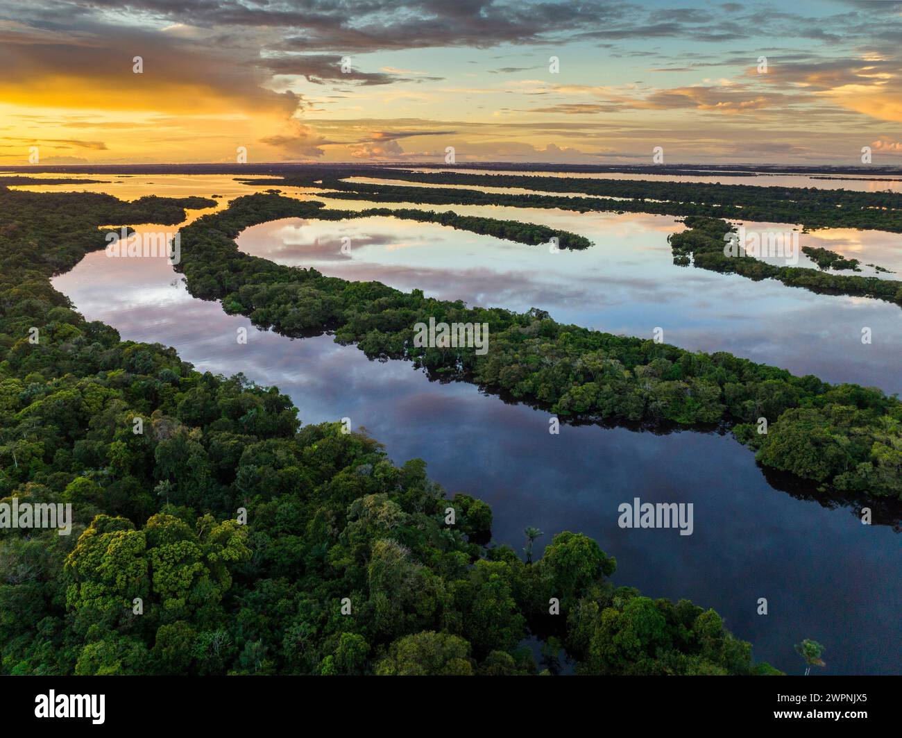 Amazon in the Brazilian rainforest with small boutique ship Stock Photo ...