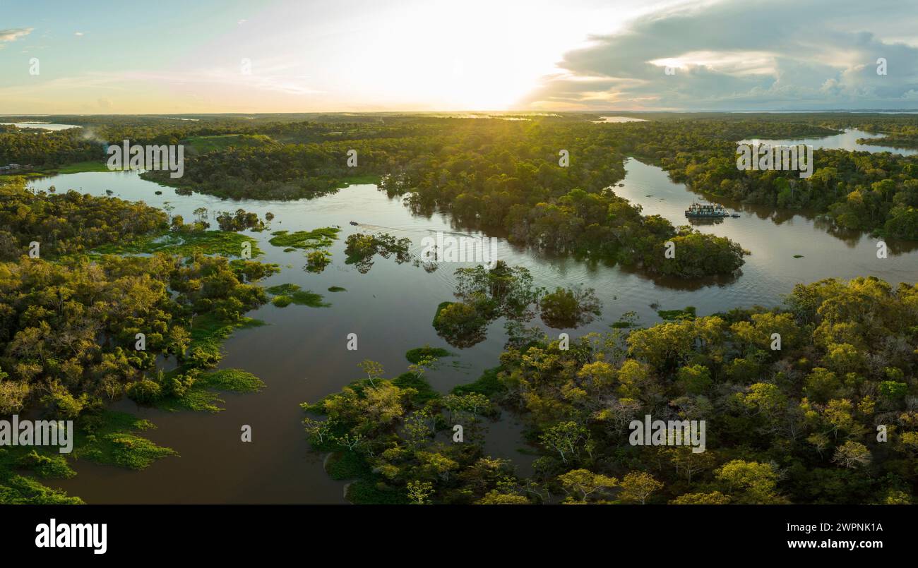 Amazon rainforest Brazil Stock Photo - Alamy