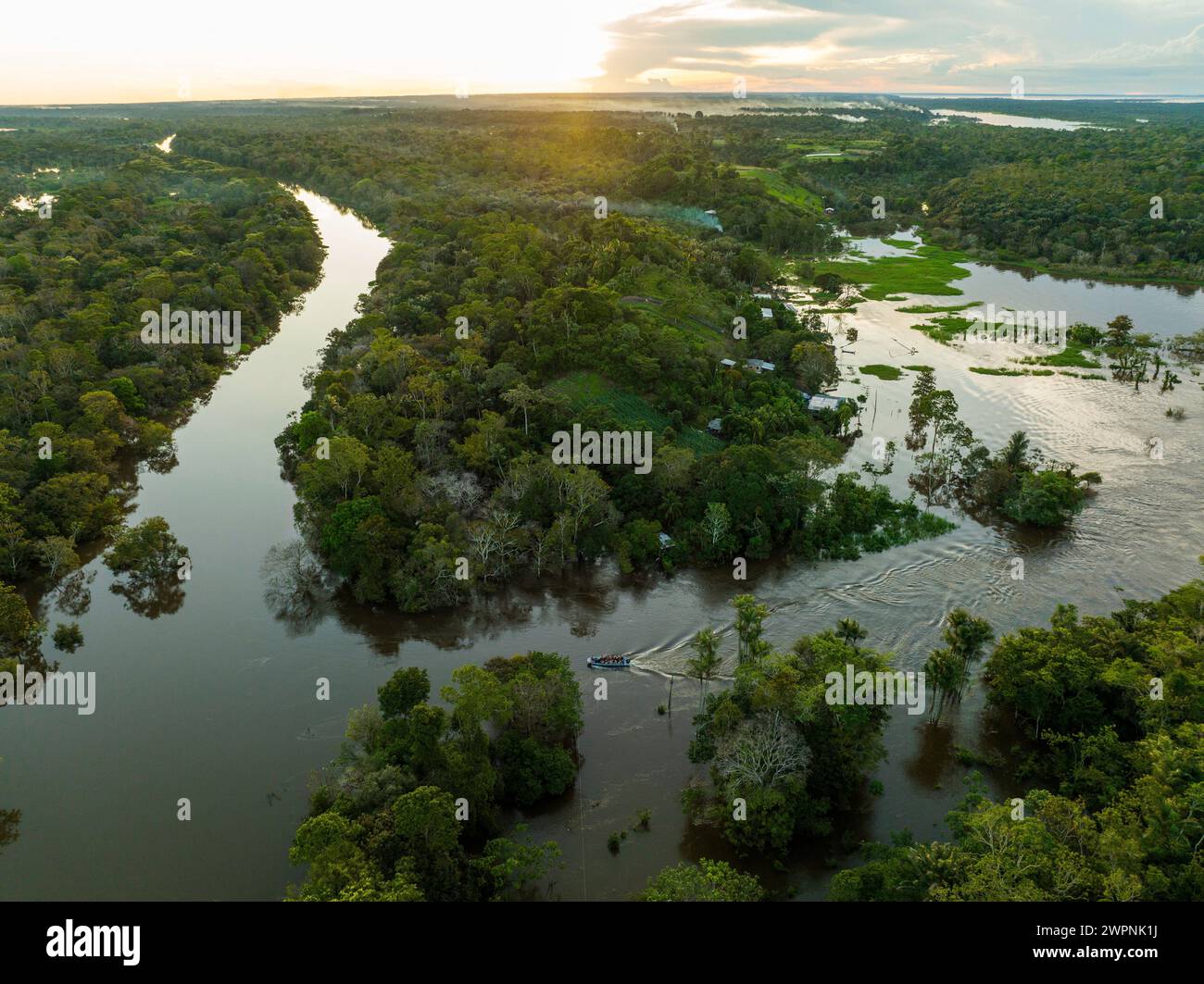 Amazon rainforest Brazil Stock Photo - Alamy