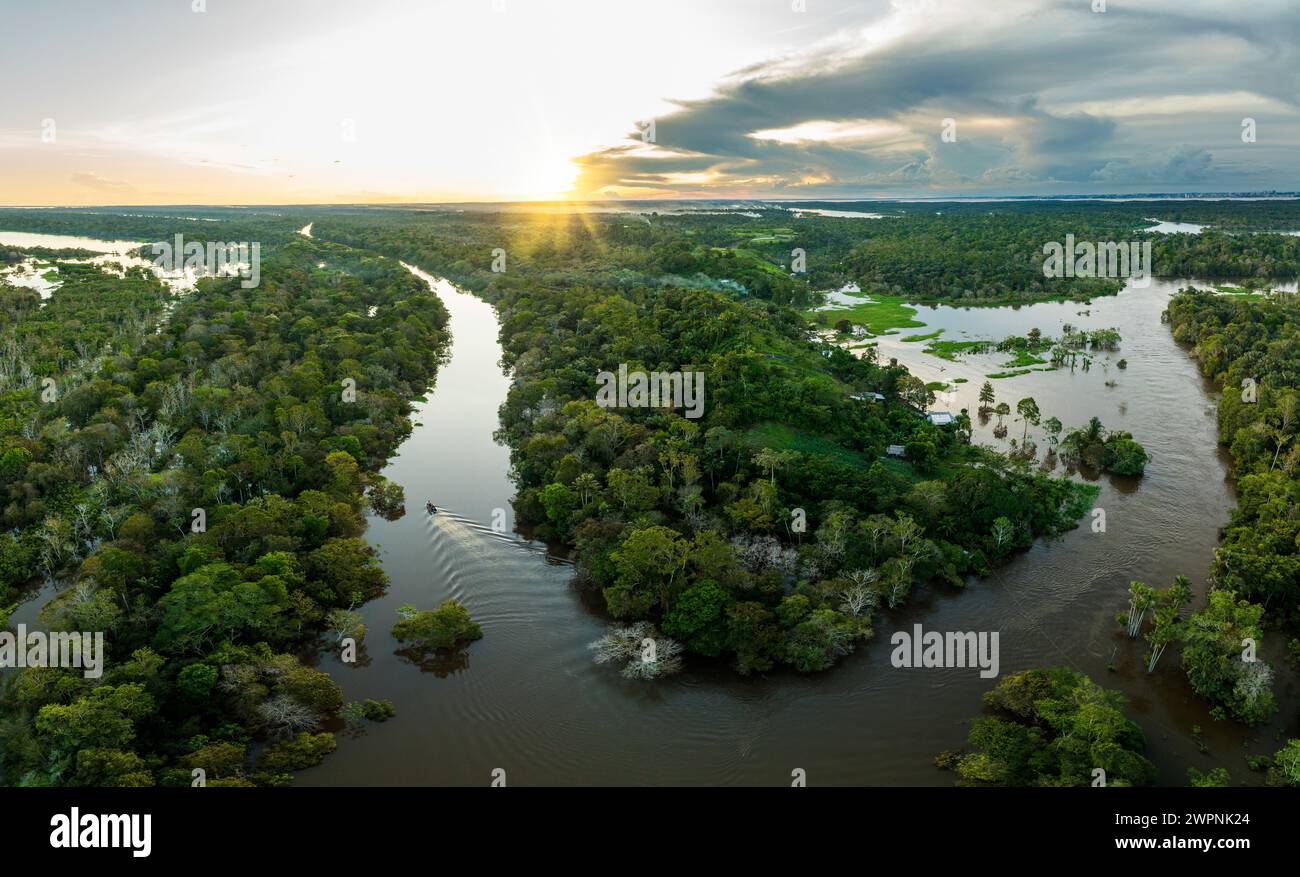 Amazon rainforest Brazil Stock Photo - Alamy