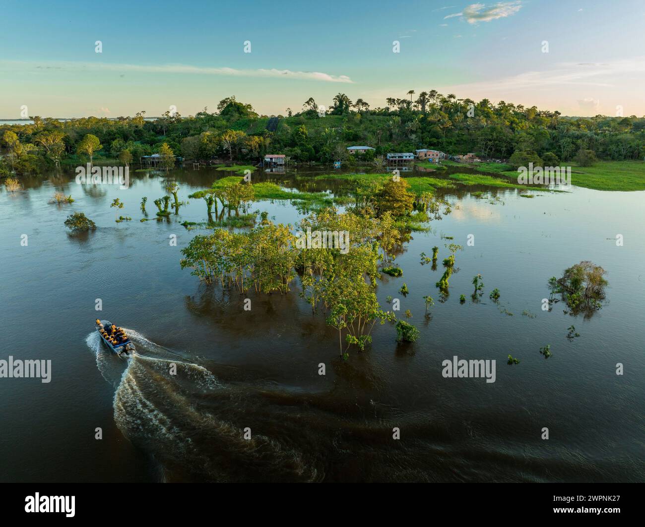 Amazon rainforest Brazil Stock Photo - Alamy